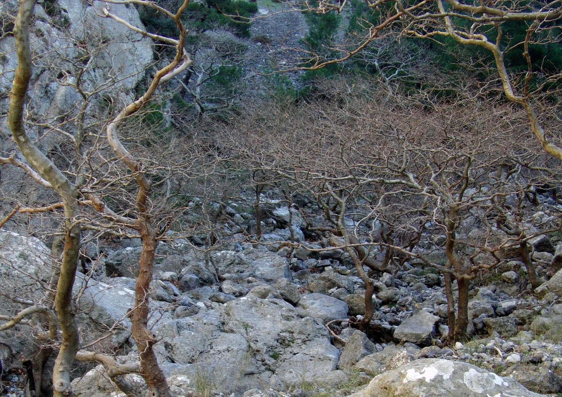ΜΑΘΗΤΙΚΗ ΠΑΡΡΗΣΙΑ: ΣΤΟ ΦΑΡΑΓΓΙ ΤΗΣ ΑΓΑΛΗΣ