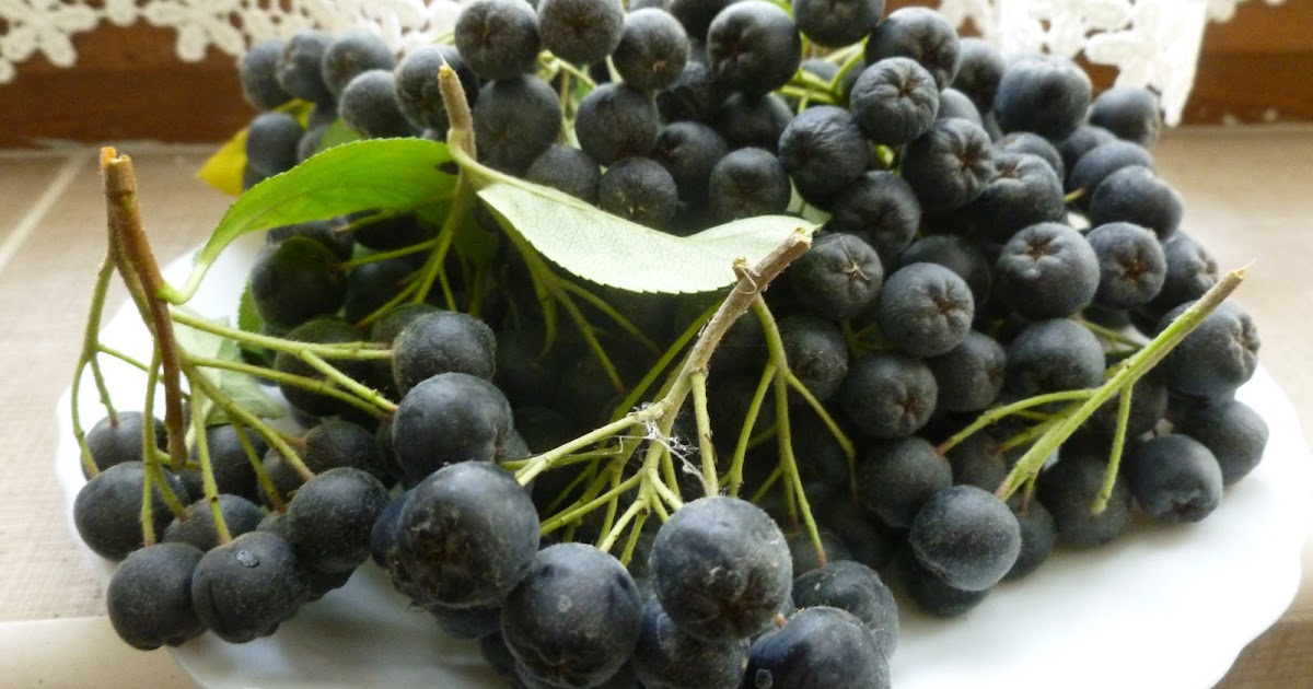 ...de otilia adunate...: DULCEATA DE ARONIA (scorus negru)