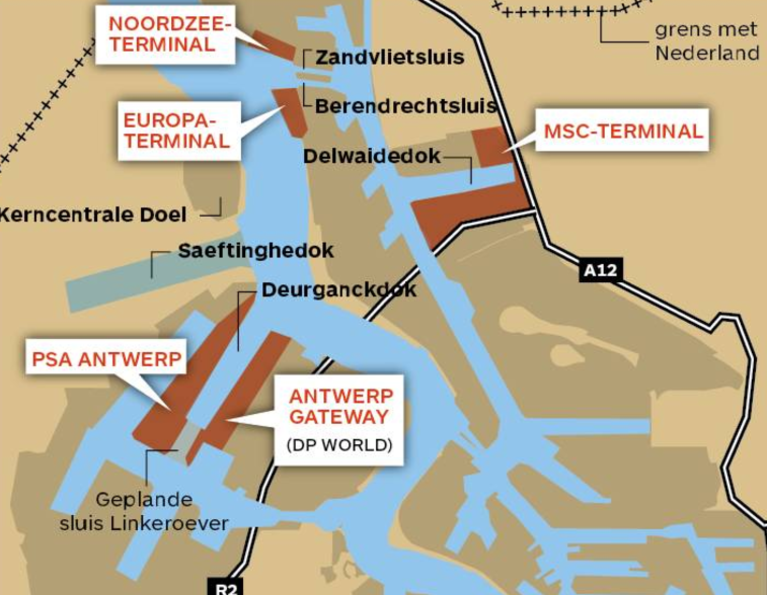 Antwerpse haven - Proud to be a docker: Antwerpen trekt voluit MSC-kaart.