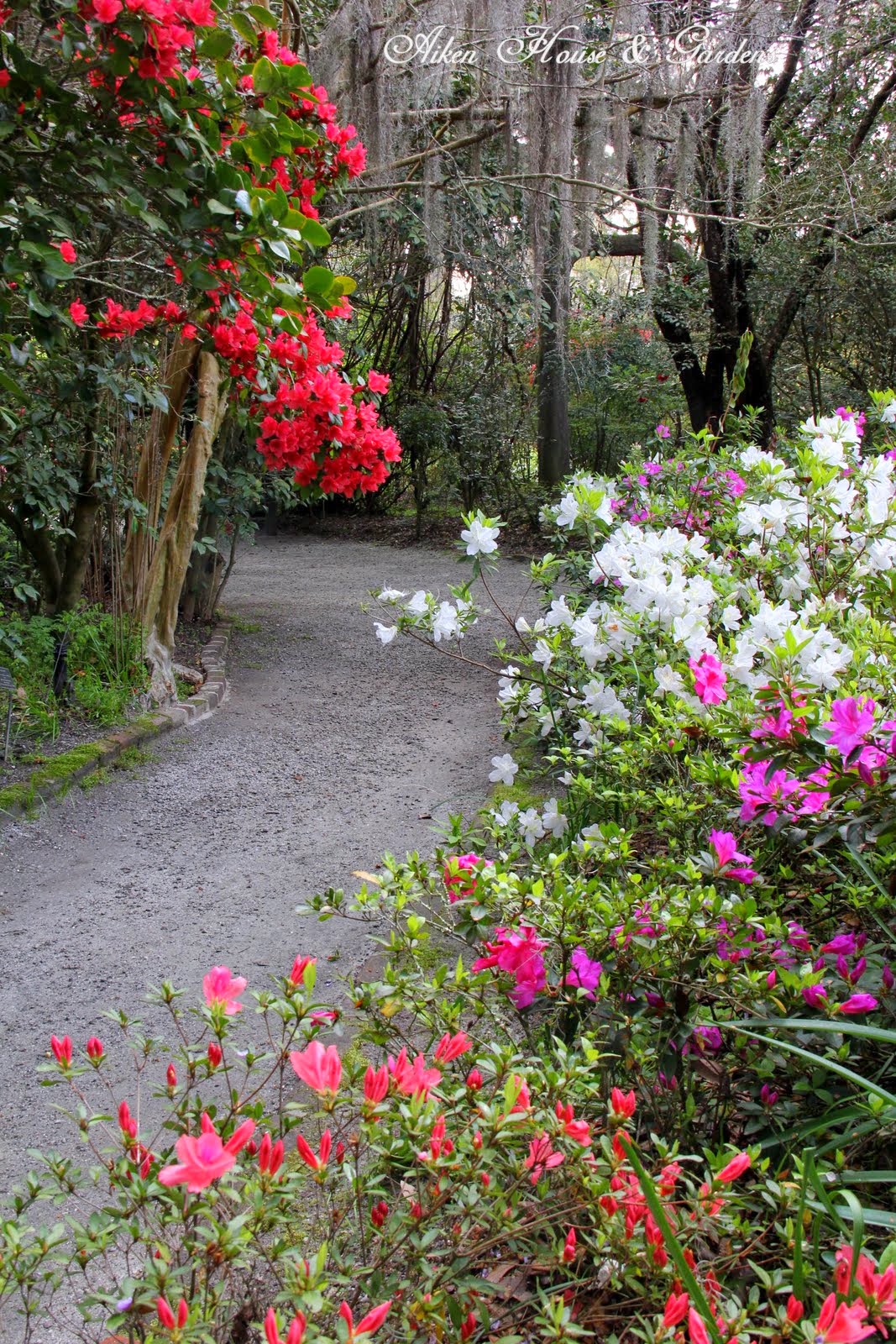 Aiken House & Gardens: Magnolia Plantation & Gardens