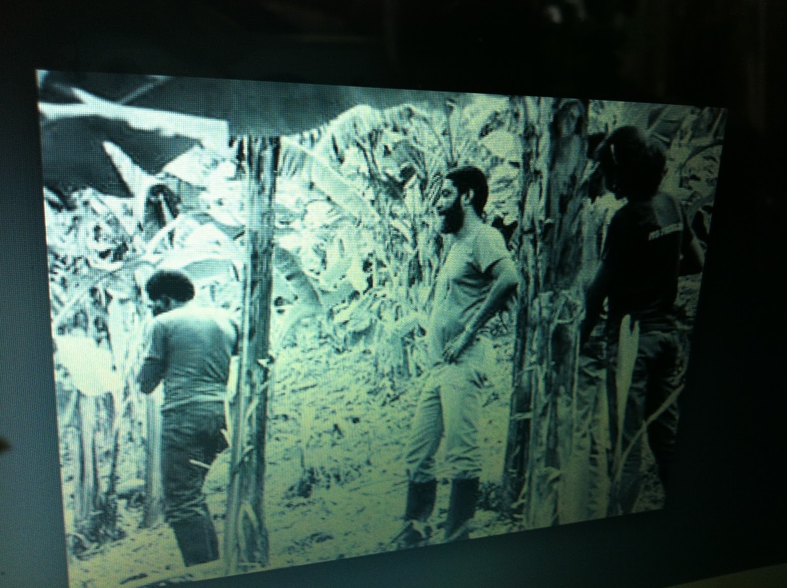 THE BLACK SOCIAL HISTORY:: BLACK SOCIAL HISTORY - AFRO-GRENADIAN ...