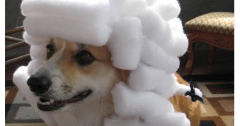 When you use the word thus in an essay