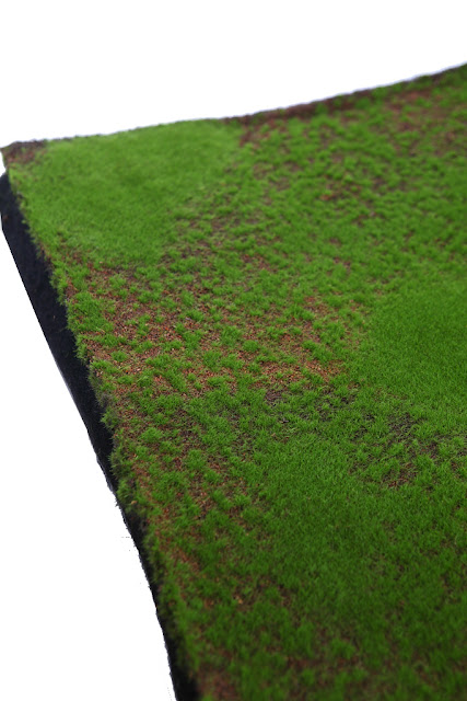 Jardin vertical artficial con musgo