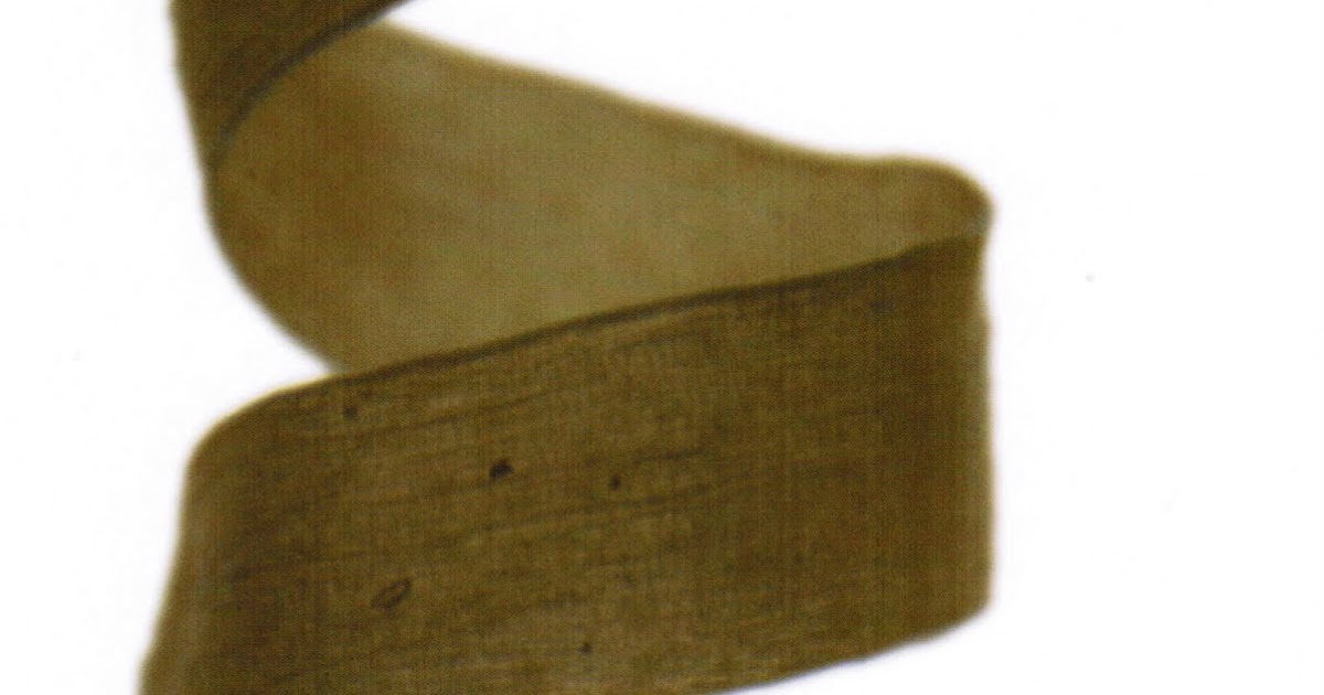 The Phytophactor: Ballistic seed dispersal