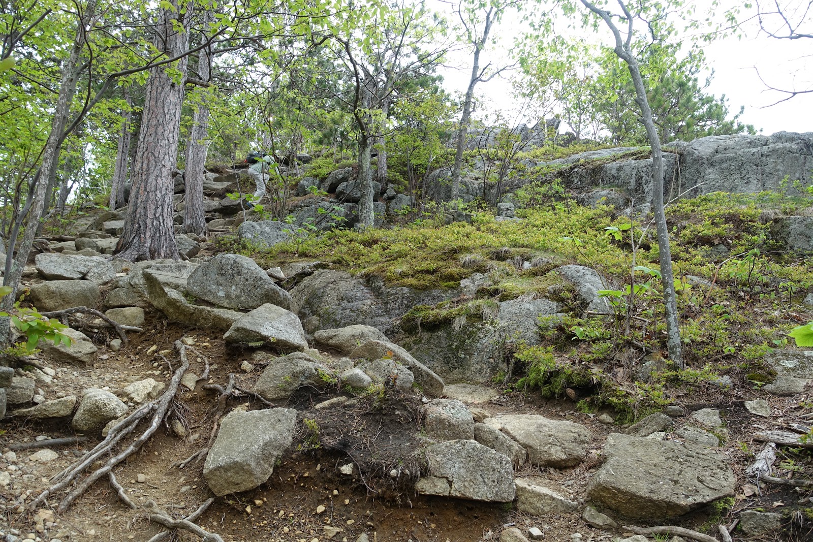 Of Rock & Riffle: A Cold & Rainy Welcome to the Adirondacks
