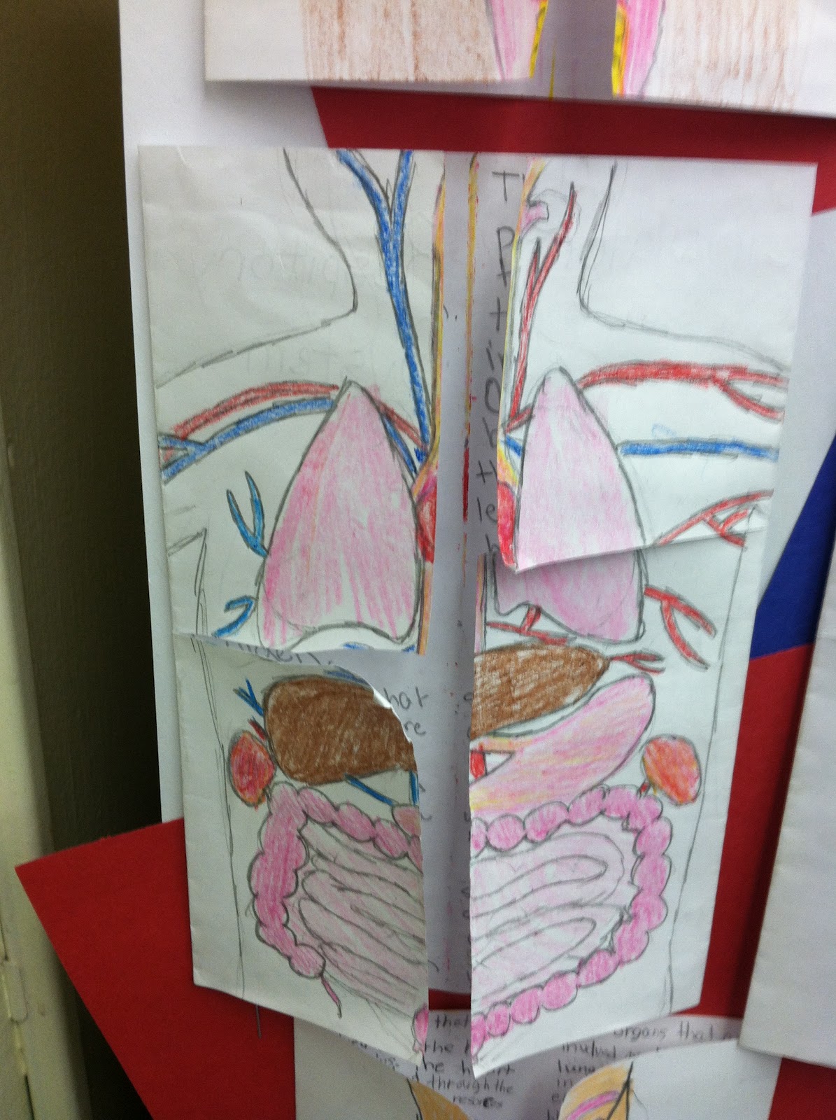 Who wants to summarize using foldables??? | Teaching in Room 6