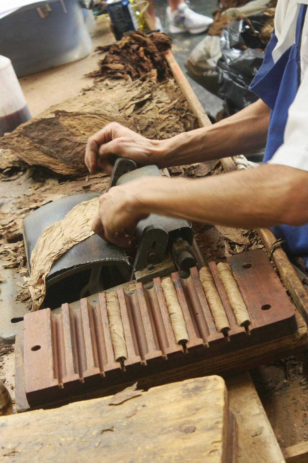 The Culinary Lens: Hand Rolling Cigars Little Italy Bronx, NYC