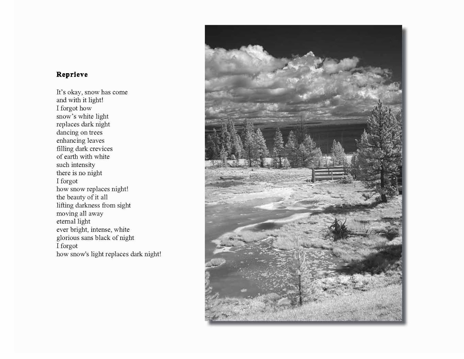 Aging Gracefully: Poetic Sundays - Poems for the Heart and Soul