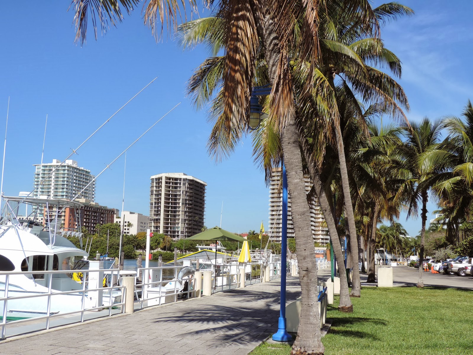 Photographic Allsorts: Dinner Key Marina Miami