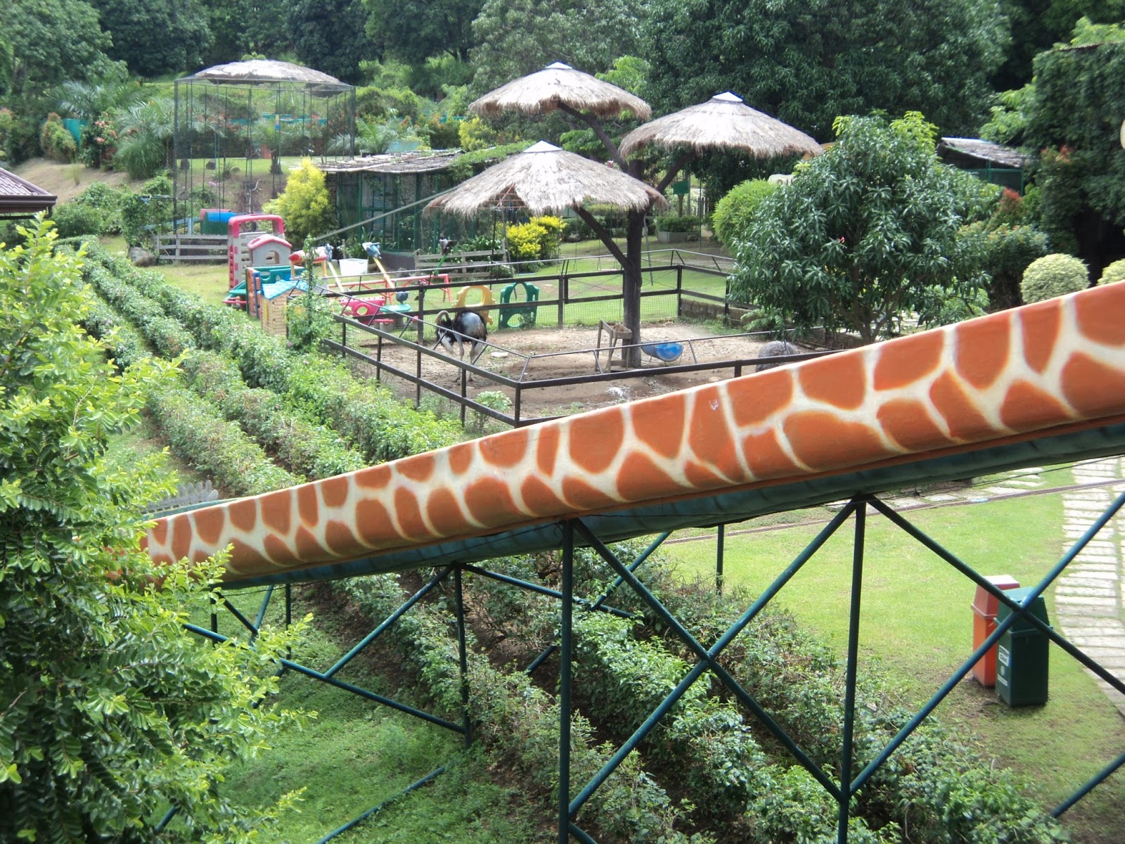 WITTY MOMSIE: CLARK ZILLA : 4X4 ZOOPERB RIDE IN ZOOCOBIA