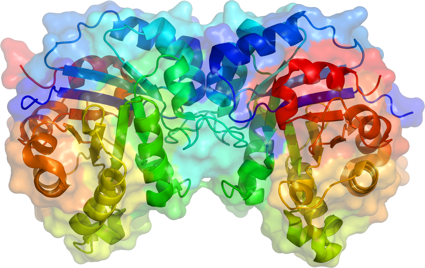La enzima en la reacción metabólica - Biología