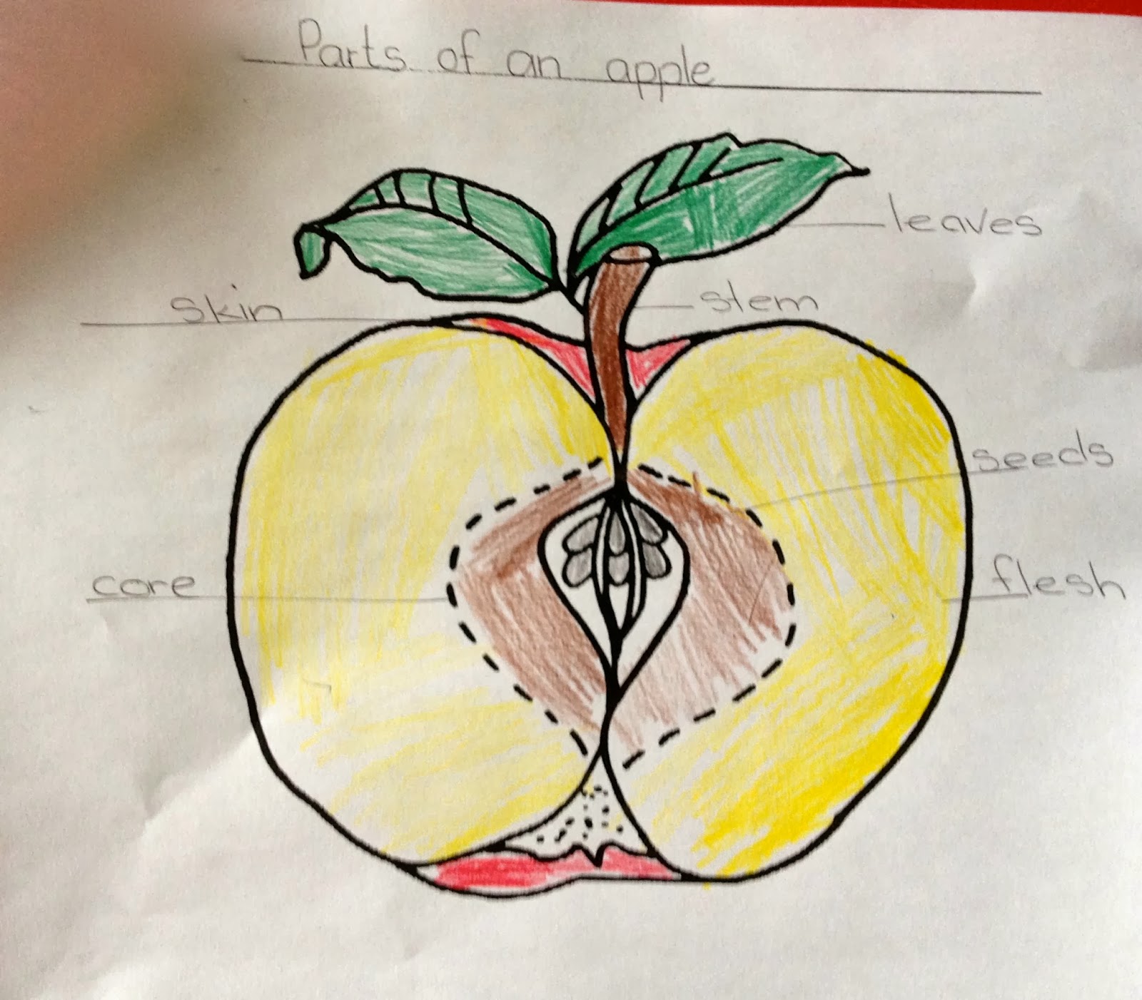 Adventures in Kindergarten: September 2013