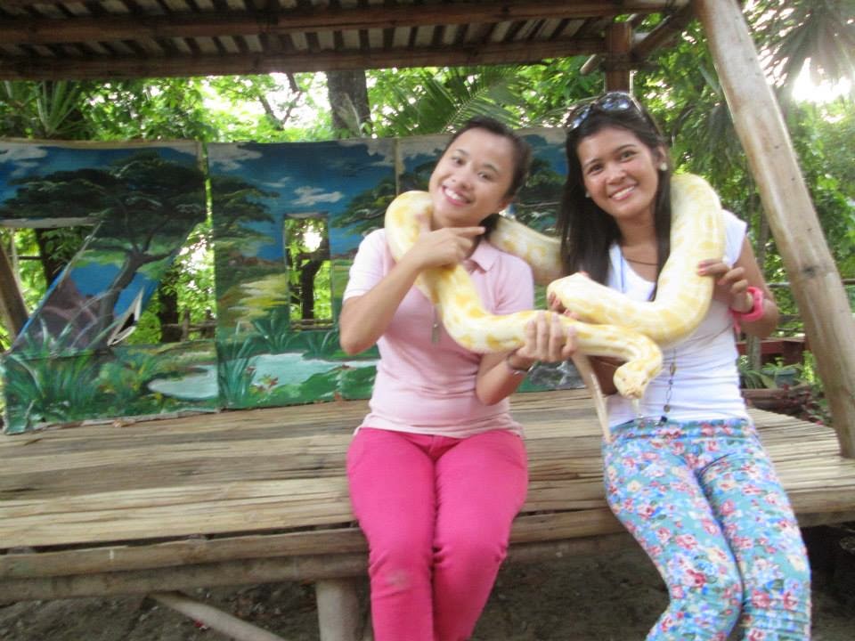 Cebu Zoo Experience |Spread My Thoughts