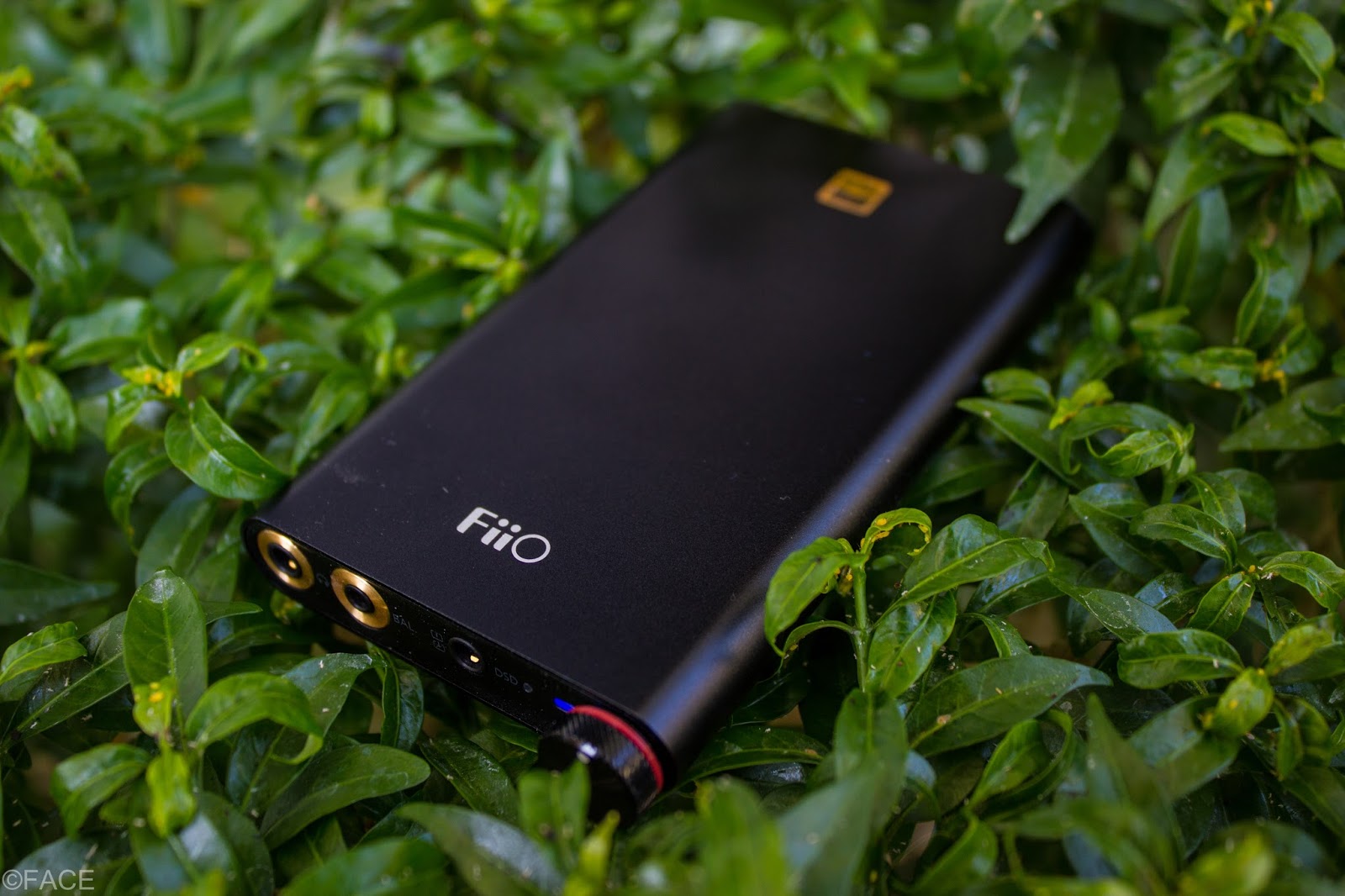 FiiO Q1 Mark II Apple MFi Certified DAC & Amp | Headphone Reviews and Discussion - Head-Fi.org