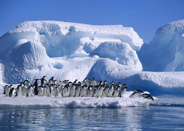 White Immensity of Antarctica ~ Beautiful Places In The World