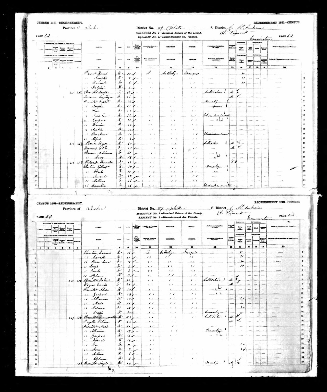Family Tree & Branches: ANCESTOR SPOTLIGHT: CAMILLE CHARTIER