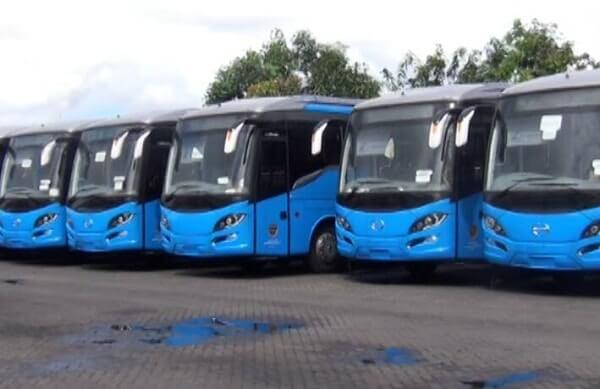 Bus Trans Lampung Mulai Beroperasi