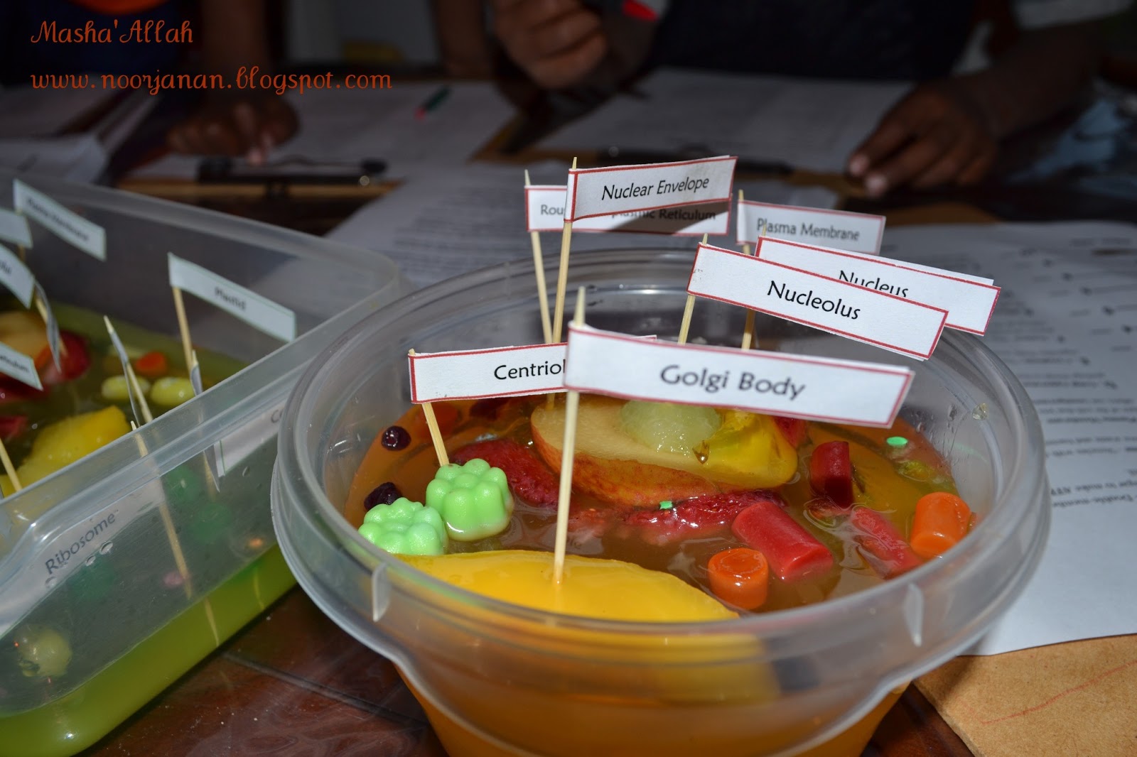 Noor Janan Homeschool: Edible Cells