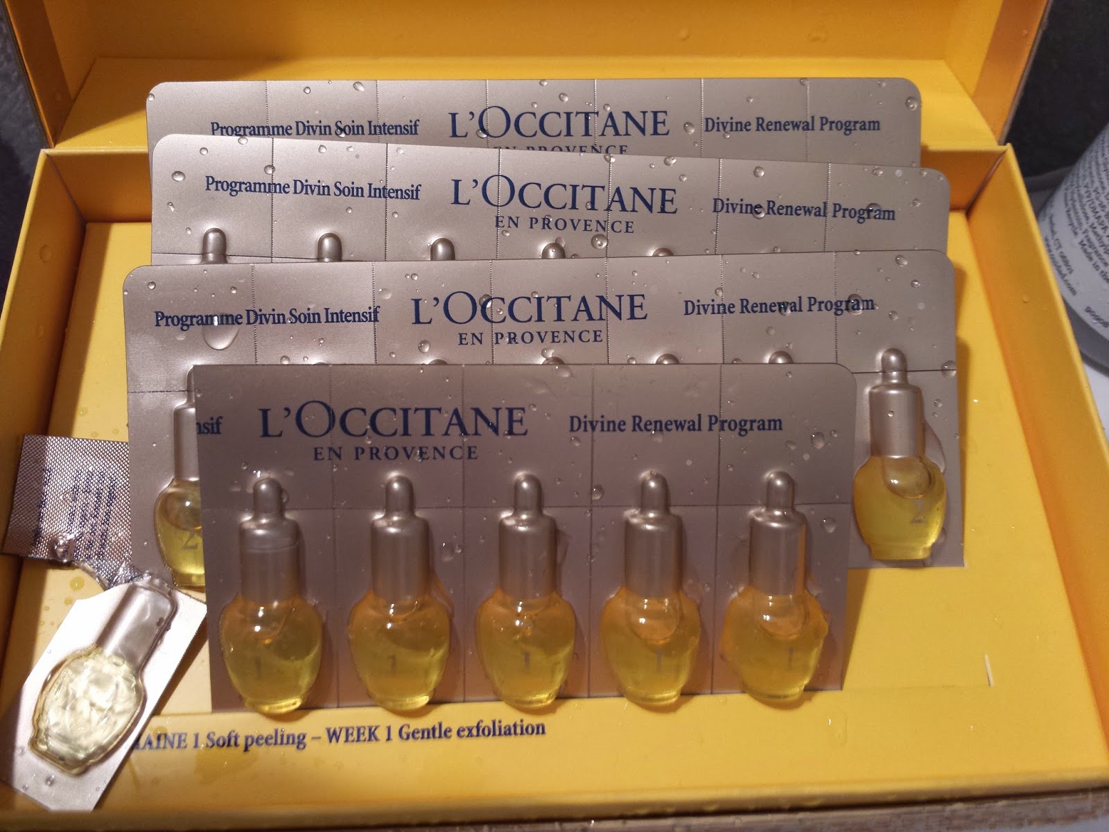 DAY 1 of my 28 Day Divine Renewal Program