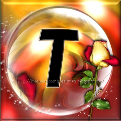 Iniciales Nombres y Más: HERMOSAS INICIALES DECORADAS