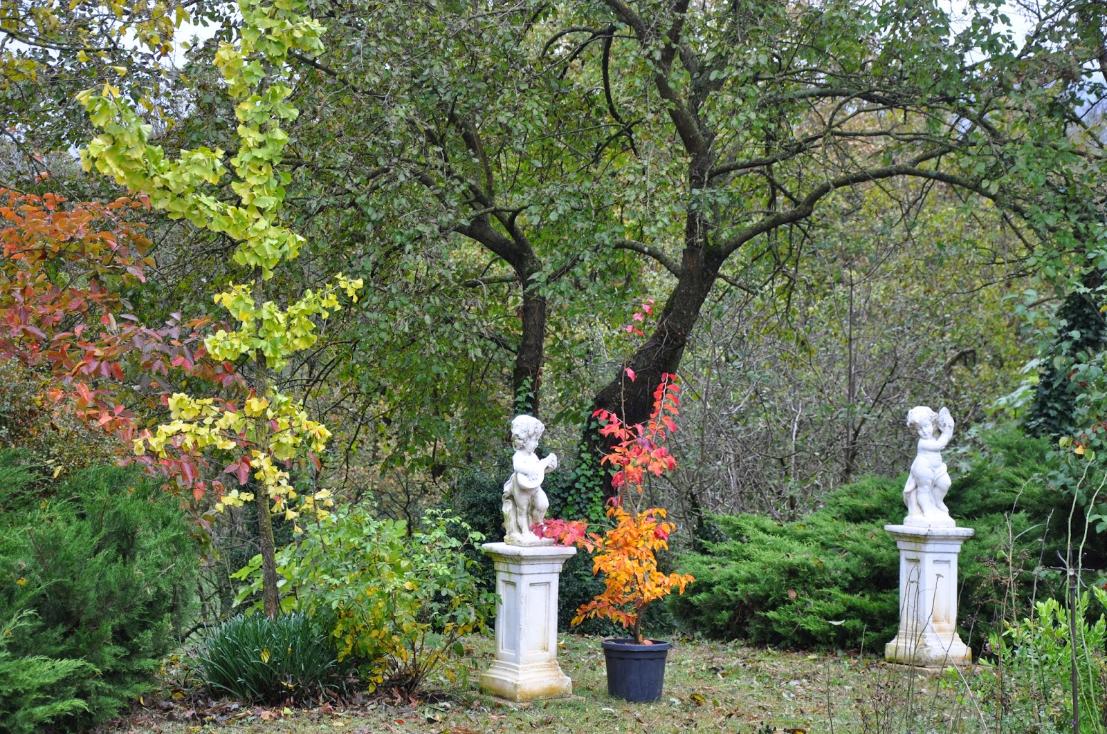 Le Jardin du Bois-Joli: L'Arbre de Fer...
