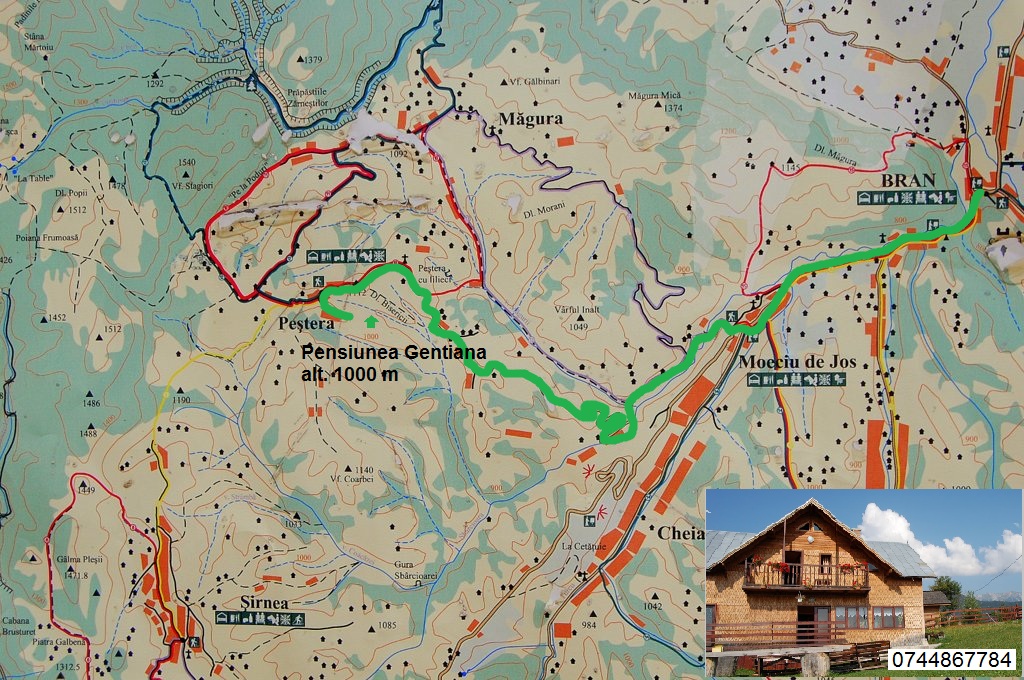 Pensiunea Gentiana: sat Pestera nr 10, Moieciu: Contact 0744.867.784