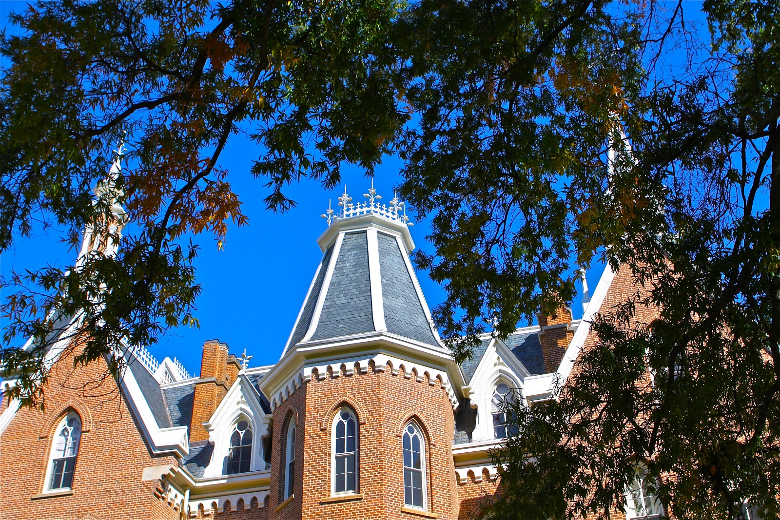 Sweet Southern Days: Mercer University in Macon, Georgia