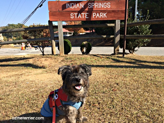 Dog-Friendly Days & Nights at Indian Springs State Park | Oz the ...
