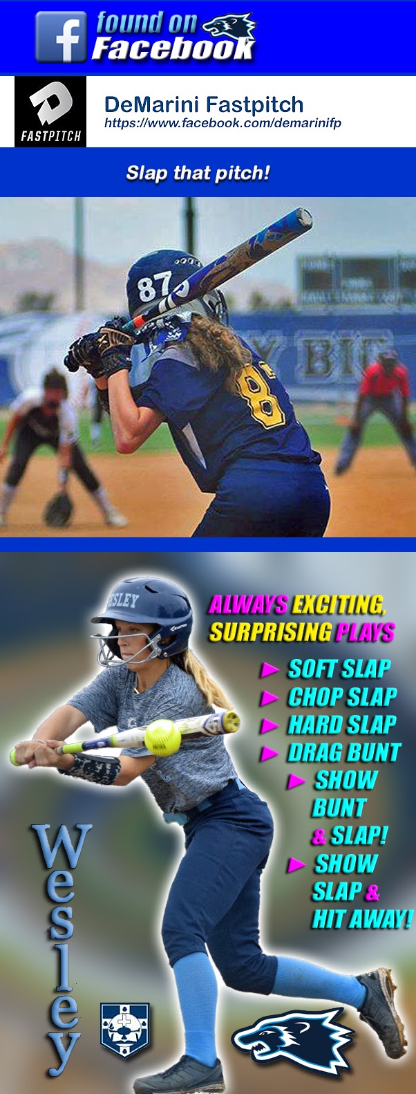 Wesley Wolverines Fastpitch Softball: SLAP HITTING