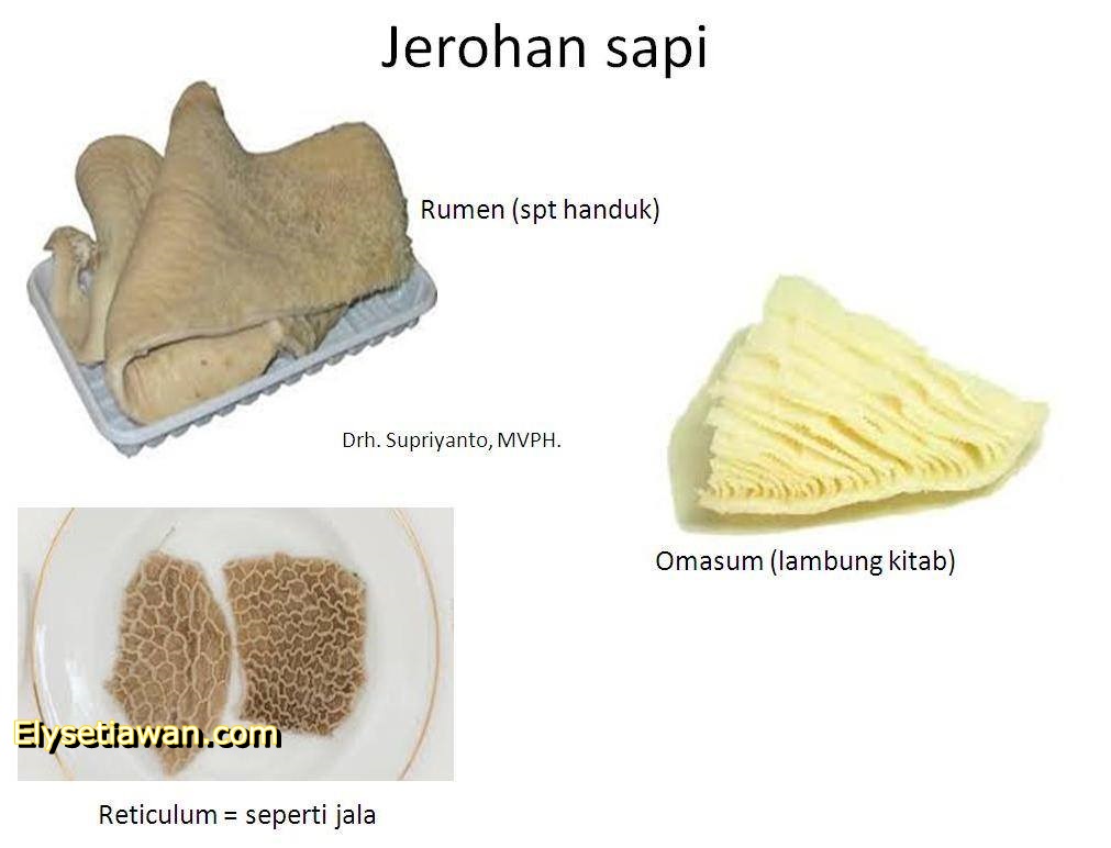 Bagaimana Membedakan Jerohan Sapi dan Babi - Elinotes review