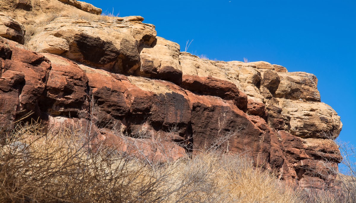 A Tree Falling: Two Buttes Reservoir State Wildlife Area