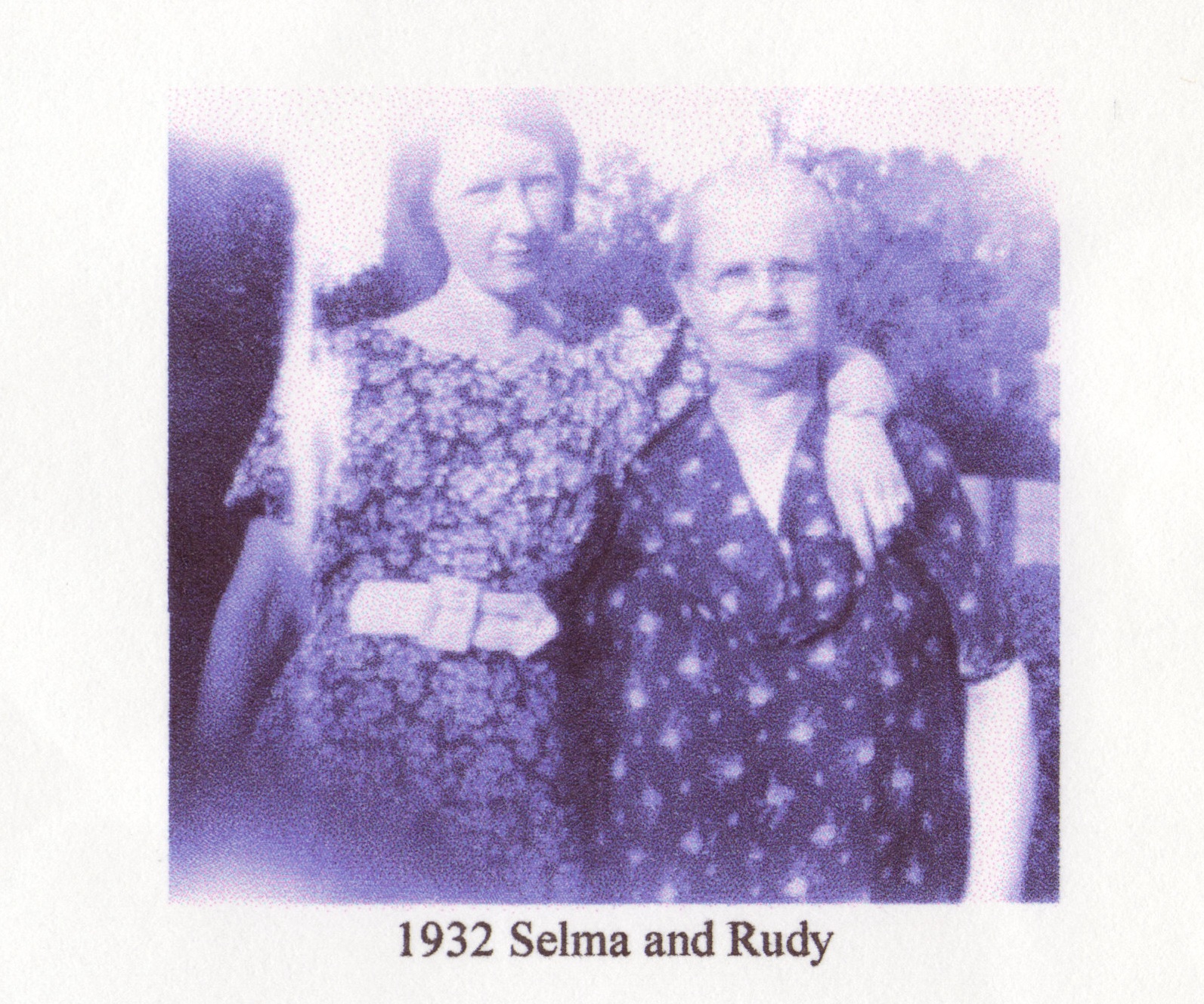 Robin's attempts to fly away home...: Andersson