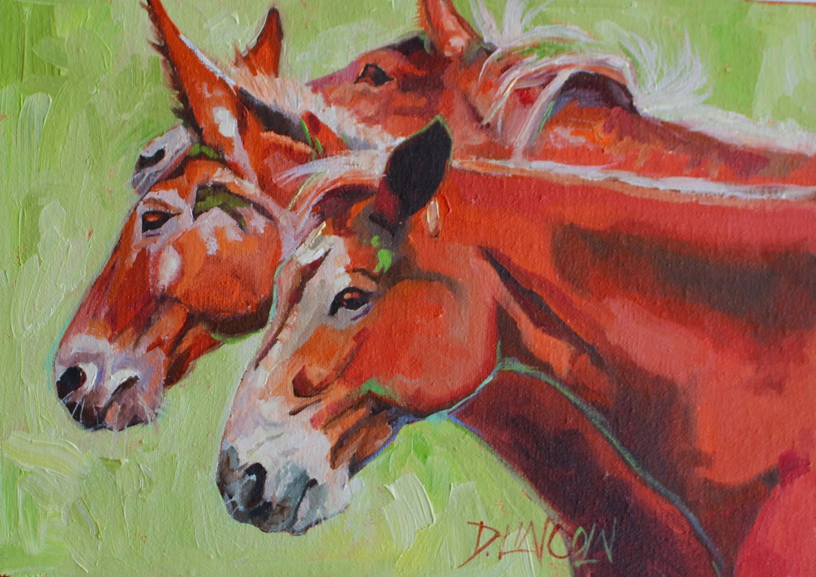 Now or Never: Mules Mules Mules - from Thirty Mile Campground in Colorado