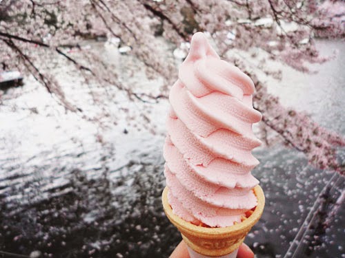 Snowball's Ice Cream World: Cherry Blossoms ice cream (sakura ice cream)