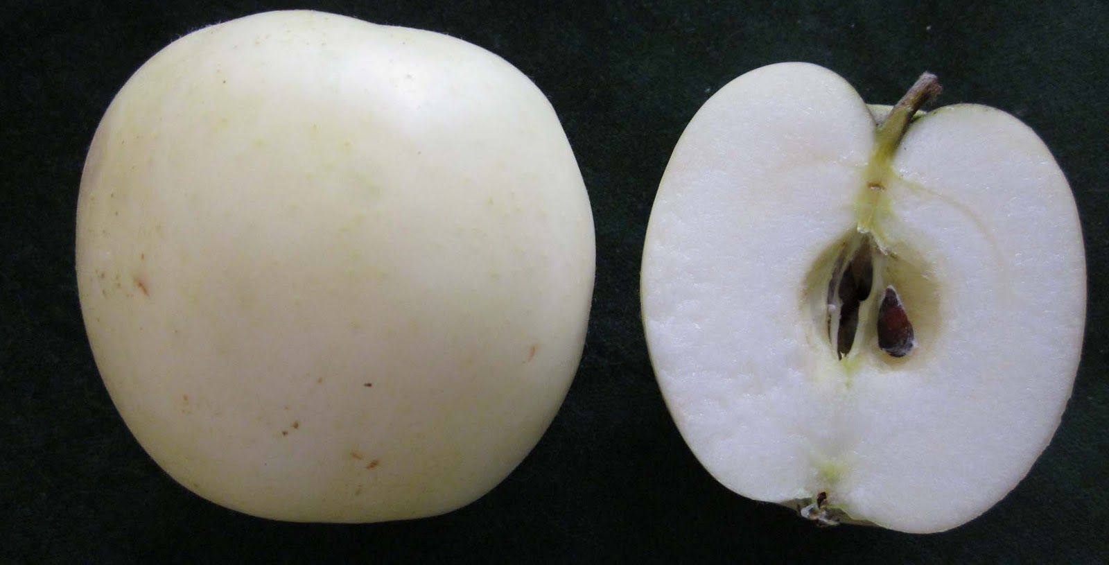 Letters from Shenanigan Valley Idaho: HERITAGE (HEIRLOOM) APPLES