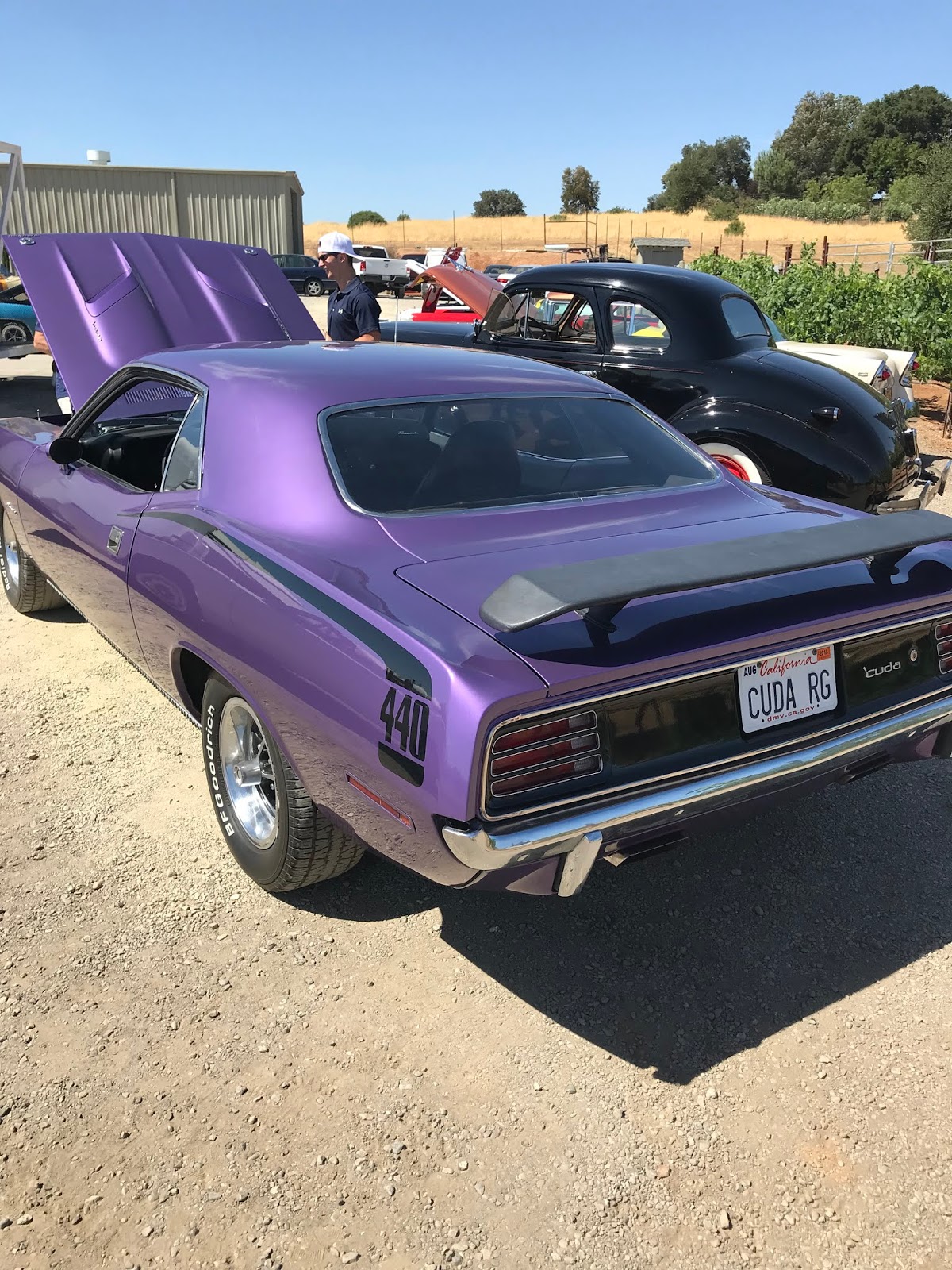 California Dreamin': Barracuda