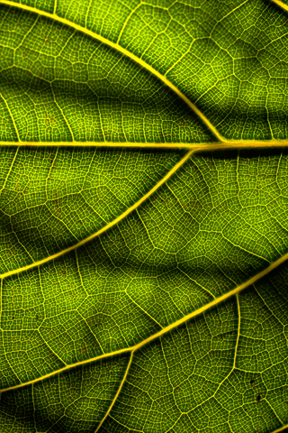 iPhoneZone: 20 iPhone Textures Wallpapers For Free Download