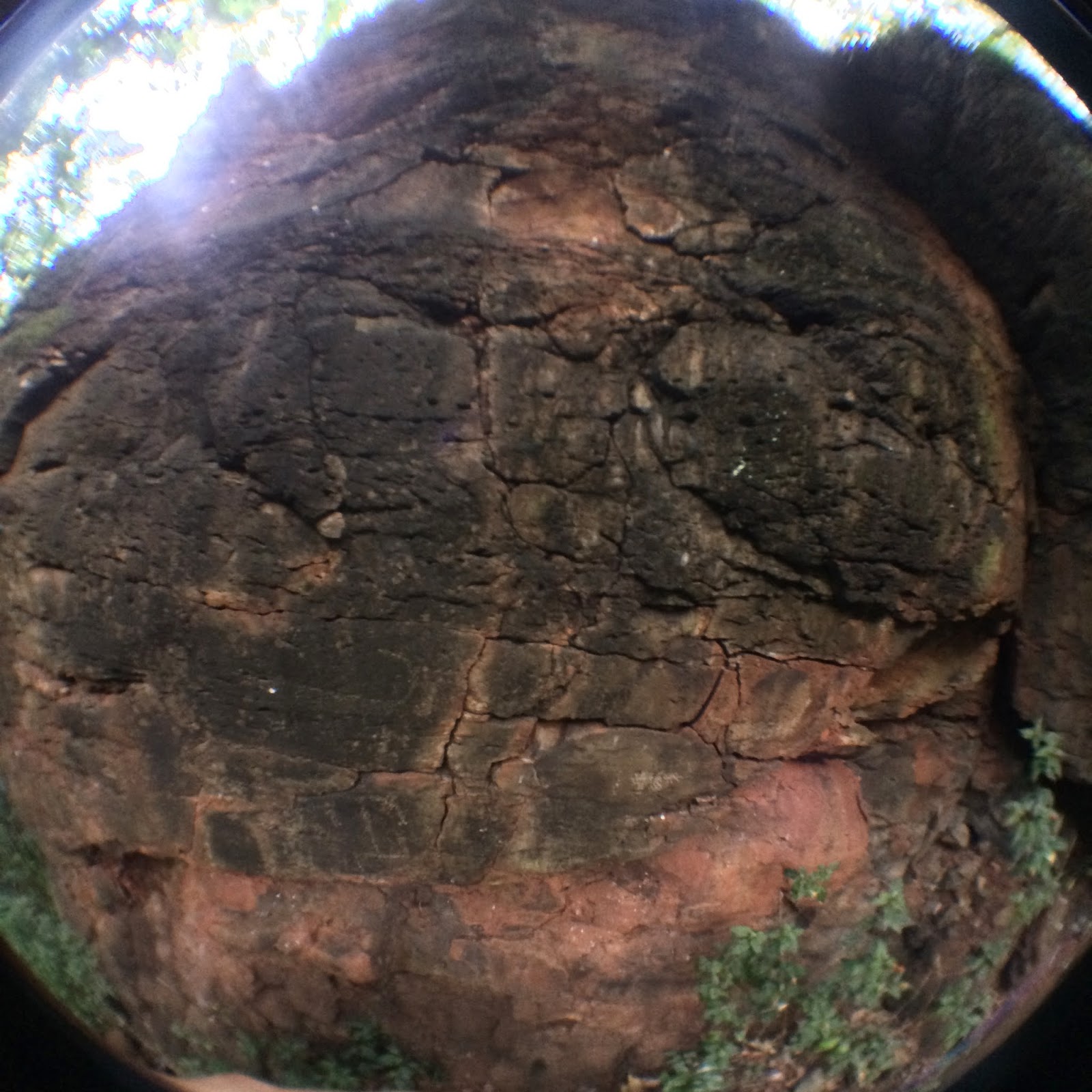 Pohukaina Cave: Waiawa