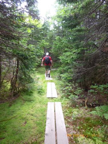 Hike New England: Trail Report: Mount Jackson and Mount Webster Loop