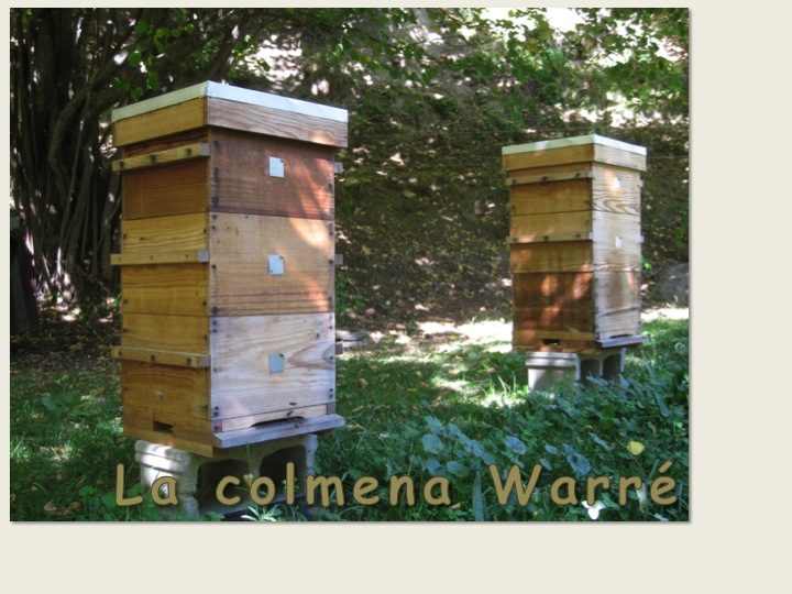 Mi colmenar: Mi manera de manejar las colmenas Warré