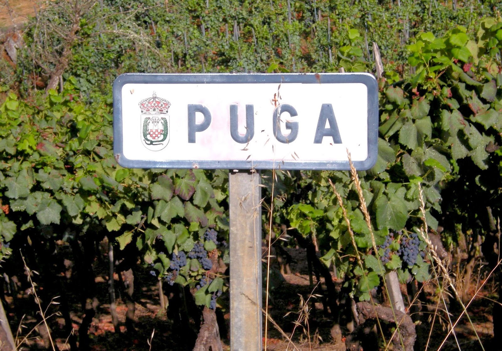 PUGA : un apellido toponímico