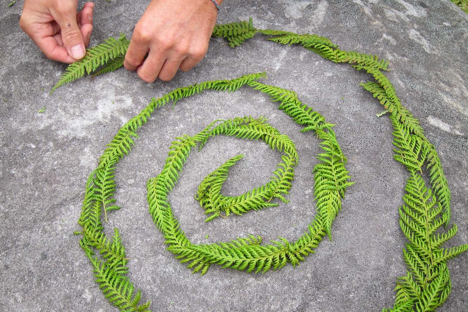 Biking our beautiful life: Inspired by Andy Goldsworthy