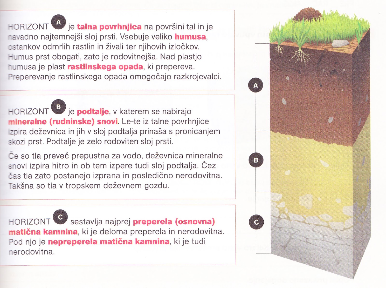 Naravoslovje 6: Talni profil