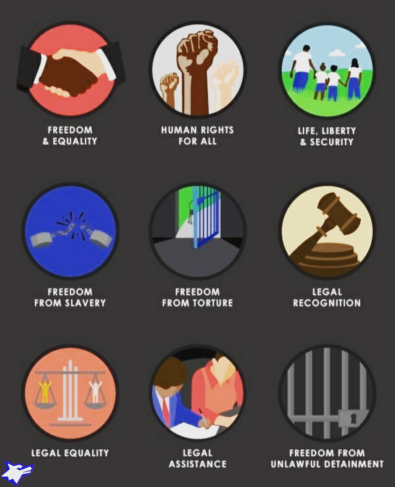 Neg!up: Basic Human Rights