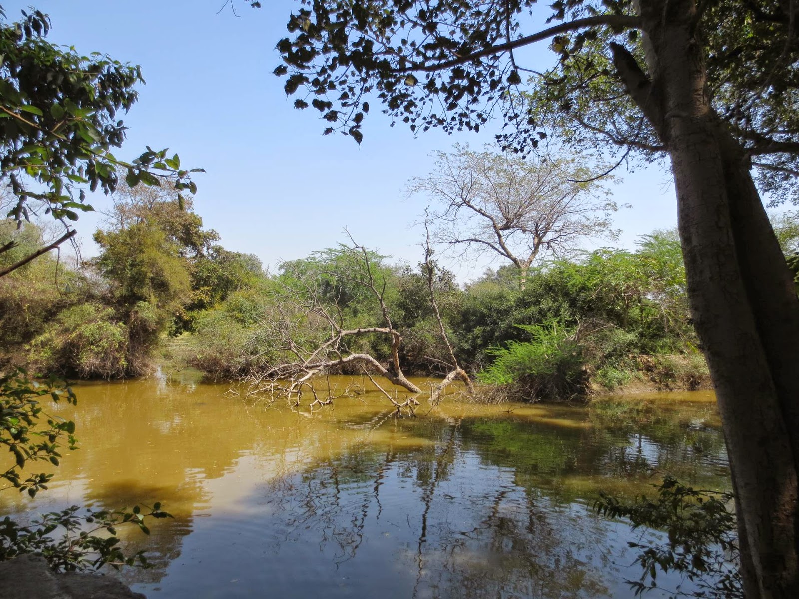 In Rajasthan With Vishakha: Rajasthan, Udaipur and Salumbar