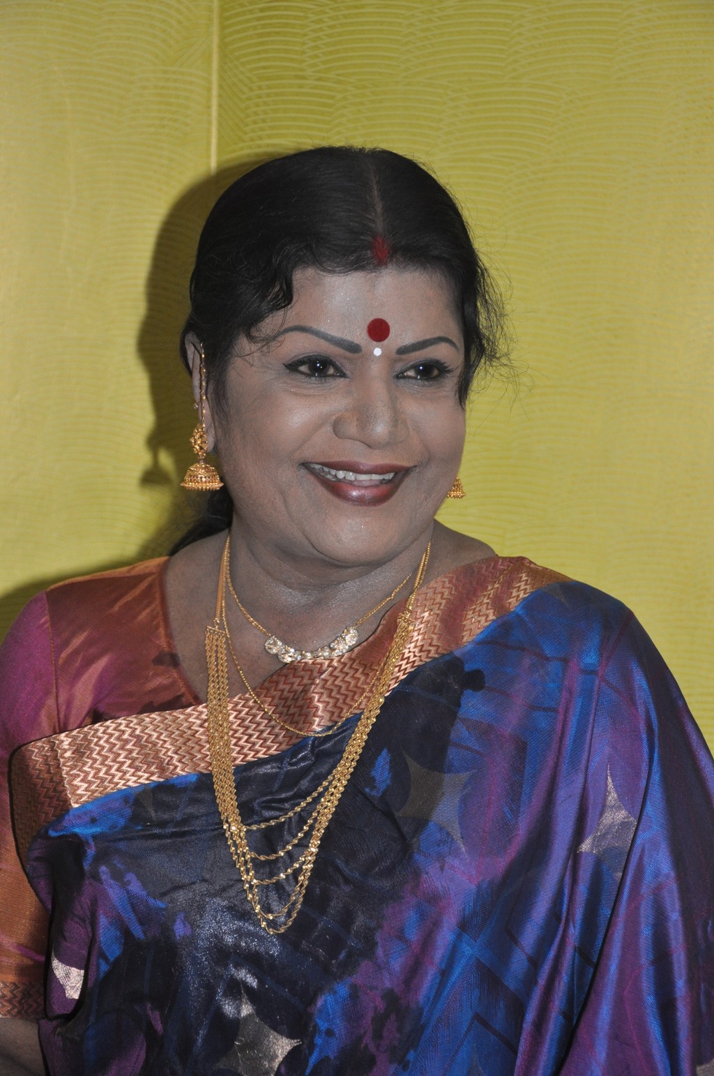 Media Gallery: Singer LR Eswari Press Meet Stills Pics Photos