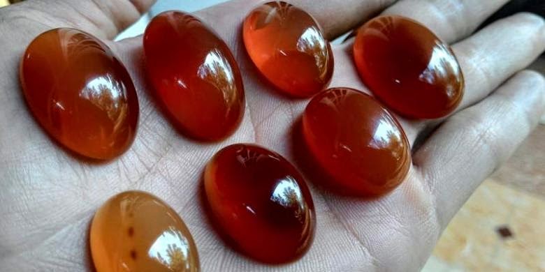 Indah nya batu red rafflesia bengkulu