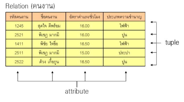 Unit 1 ความรู้เบื้องต้นเกี่ยวกับฐานข้อมูล