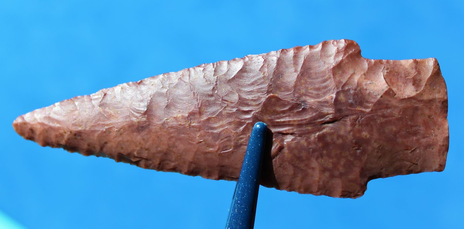 SHADOWS on the TRAIL Pentalogy - Let the Adventures Begin!: Shadows ...