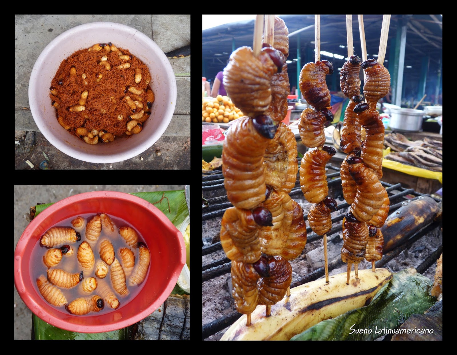 Sueño Latinuamericano: Viviendo la selva desde adentro. Iquitos, Perú.